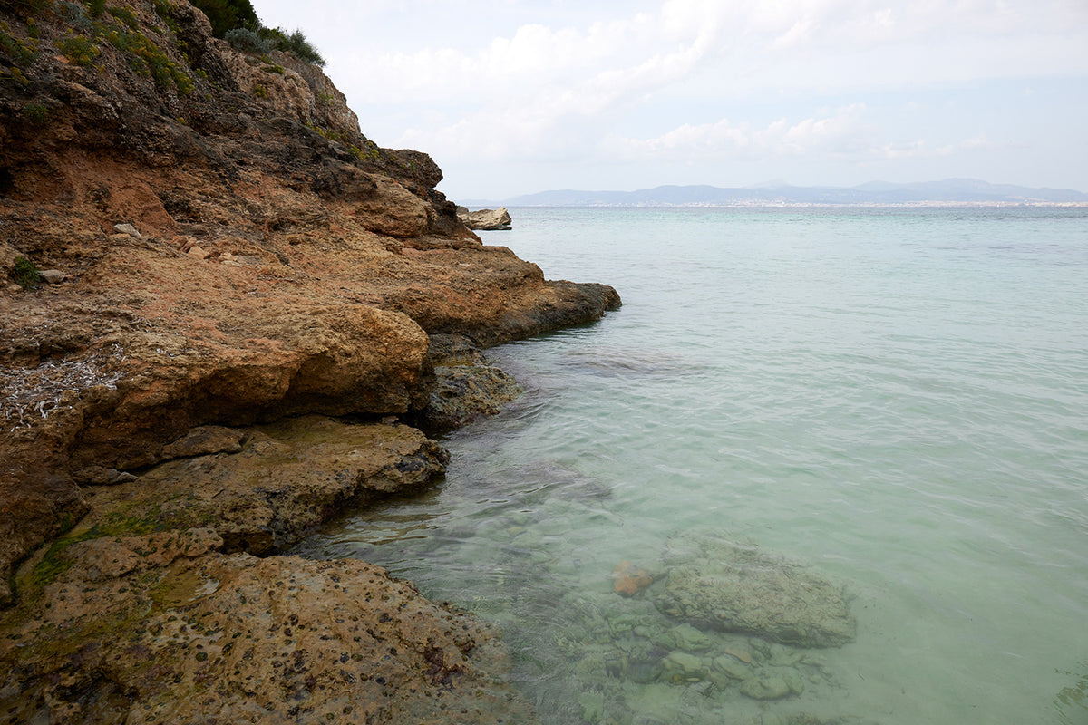 The Alex Tankini Collection – Miraclesuit