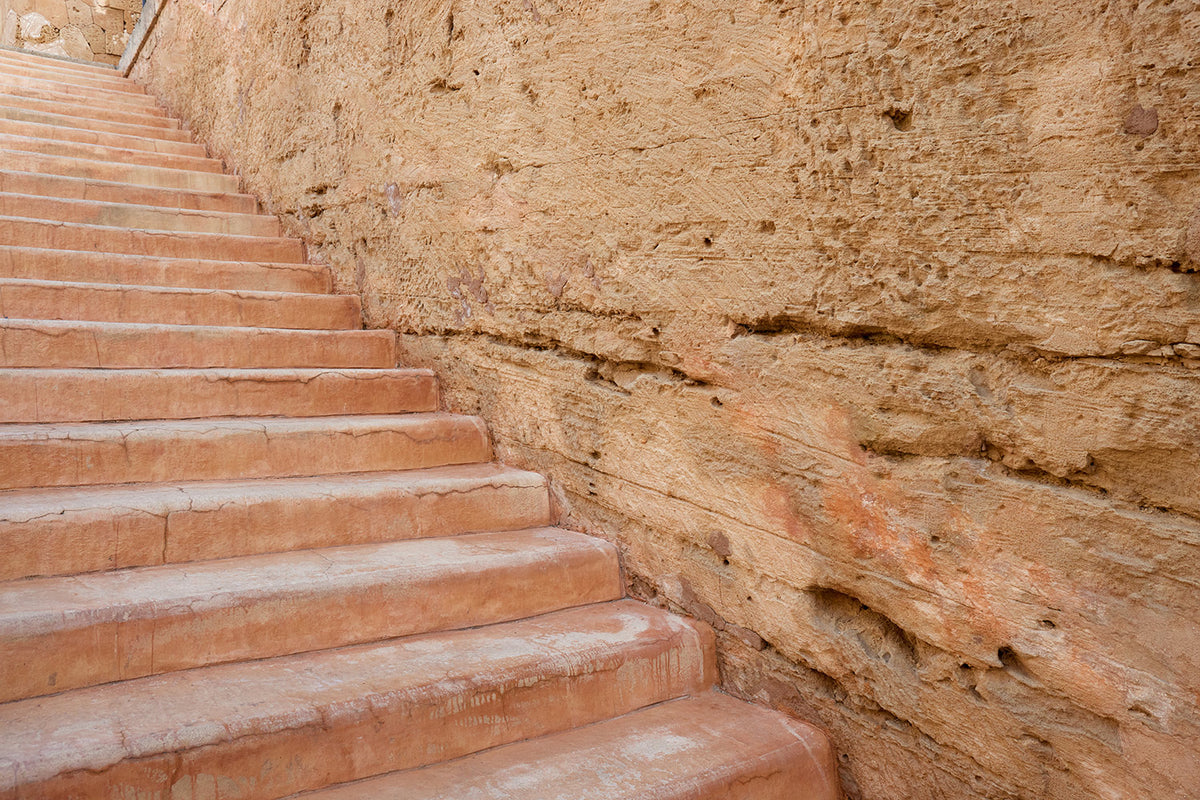 One Shoulder Swimsuits – Miraclesuit