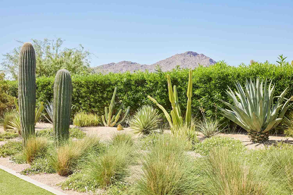 Bathing Suits For Rectangle Body Shape | Miraclesuit