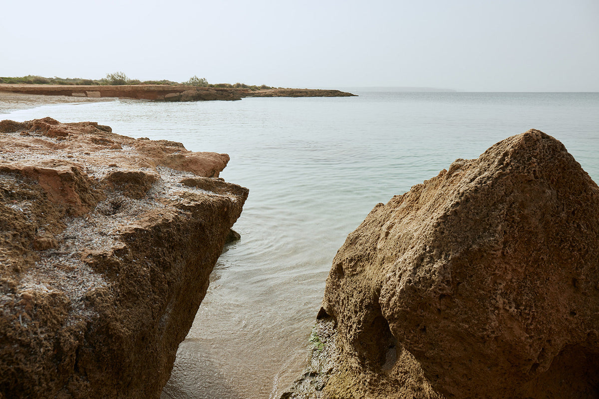 Classic One-Piece Swimsuits | Miraclesuit