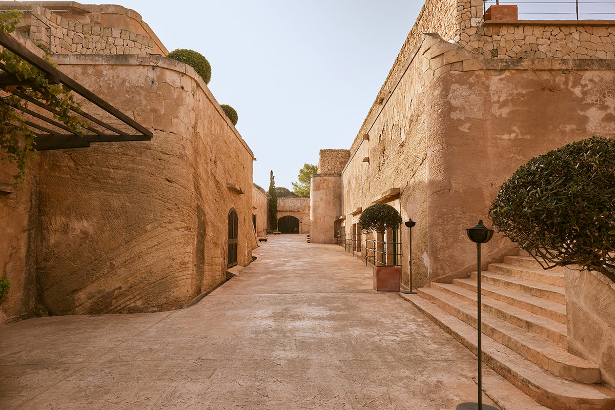 The Goddess Collection – Miraclesuit